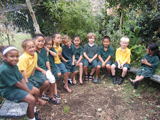 Room 3 Onehunga Primary School: Back to school!